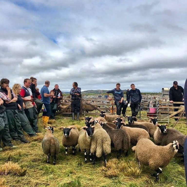 Bunessan Show 2026 | Visit Mull & Iona