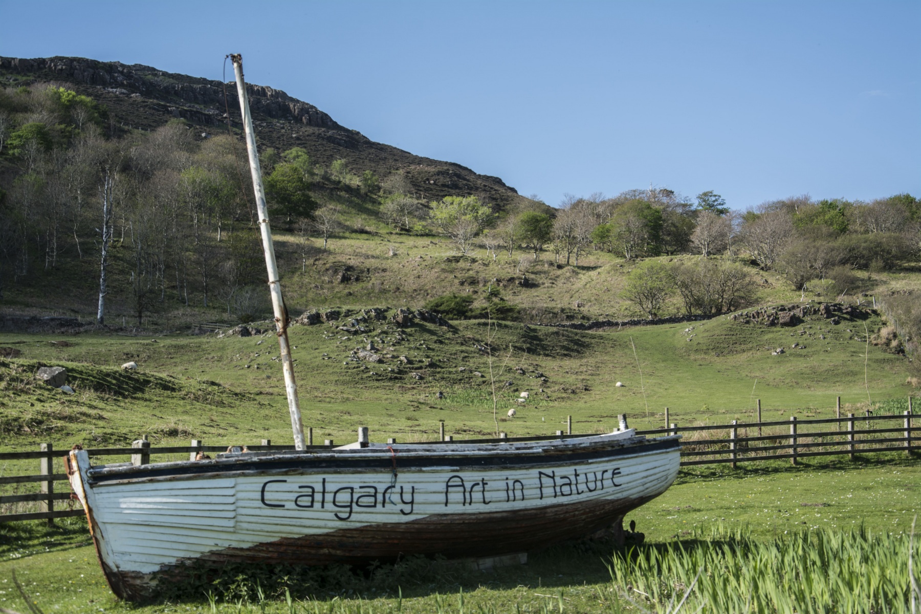 Turus Mara Seabird and Wildlife Cruise-Tours | Visit Mull & Iona