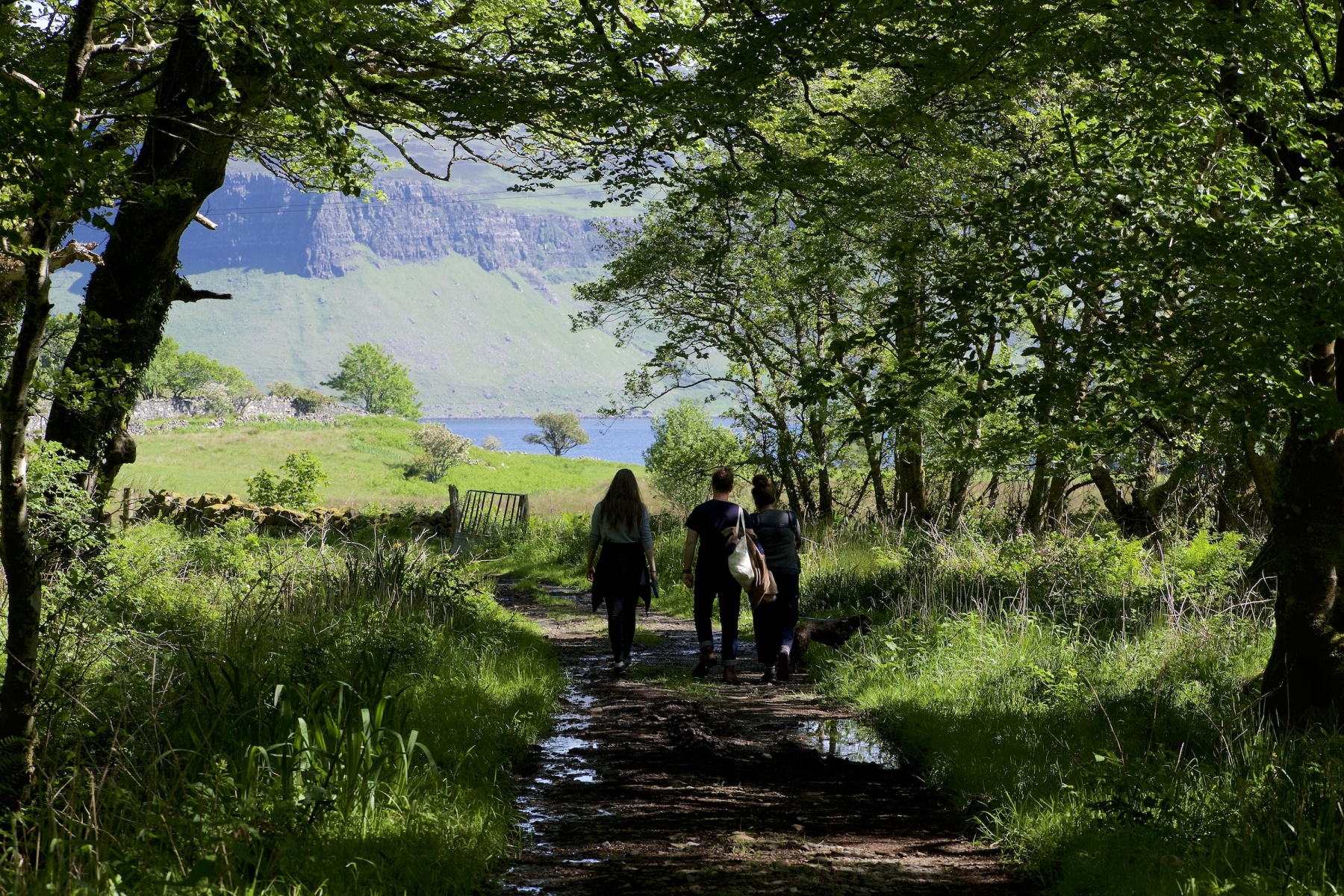 Turus Mara Seabird and Wildlife Cruise-Tours | Visit Mull & Iona
