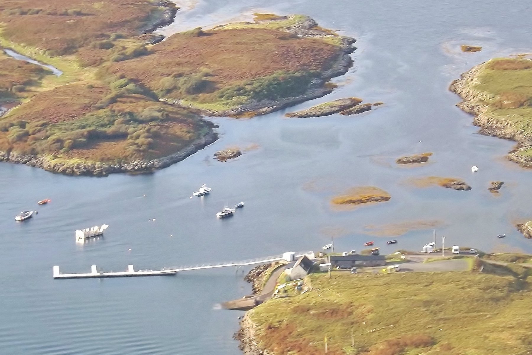 Turus Mara Seabird and Wildlife Cruise-Tours | Visit Mull & Iona