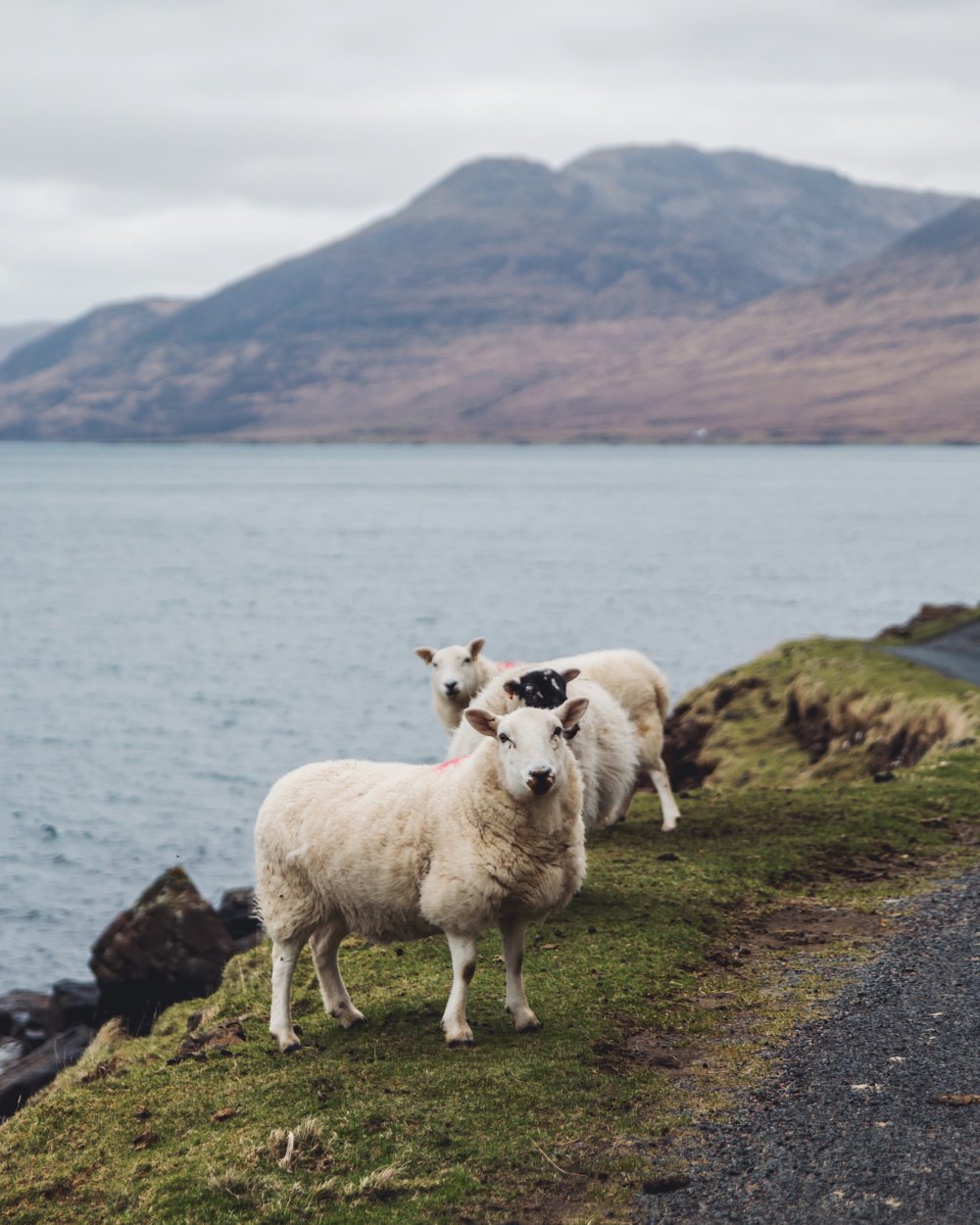 Eilidh's Isle of Mull Trip: Part Two | Visit Mull & Iona