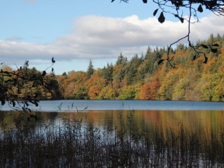 Turus Mara Seabird and Wildlife Cruise-Tours | Visit Mull & Iona