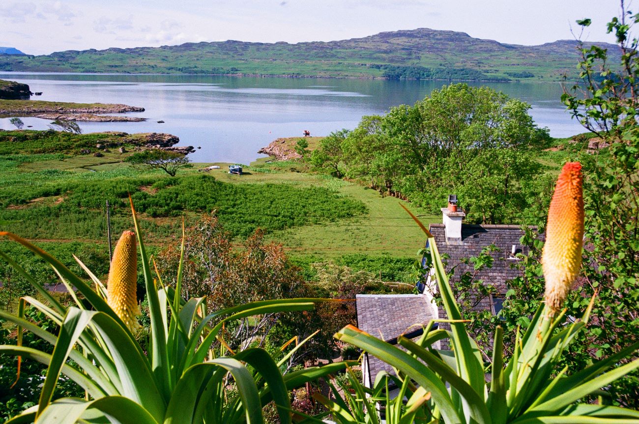 Lip na Cloiche Garden and Nursery | Visit Mull & Iona
