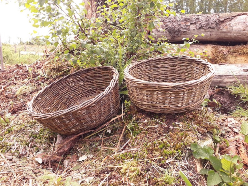 Turus Mara Seabird and Wildlife Cruise-Tours | Visit Mull & Iona