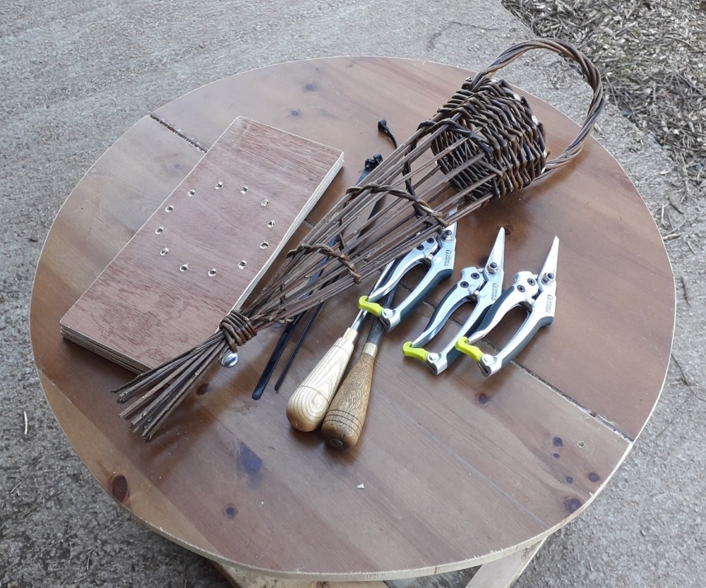 Turus Mara Seabird and Wildlife Cruise-Tours | Visit Mull & Iona